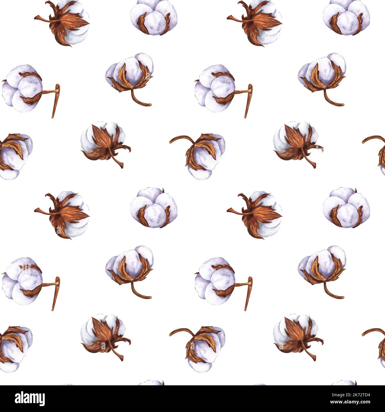 Seamless pattern with cotton painted in watercolor isolated on a white ...