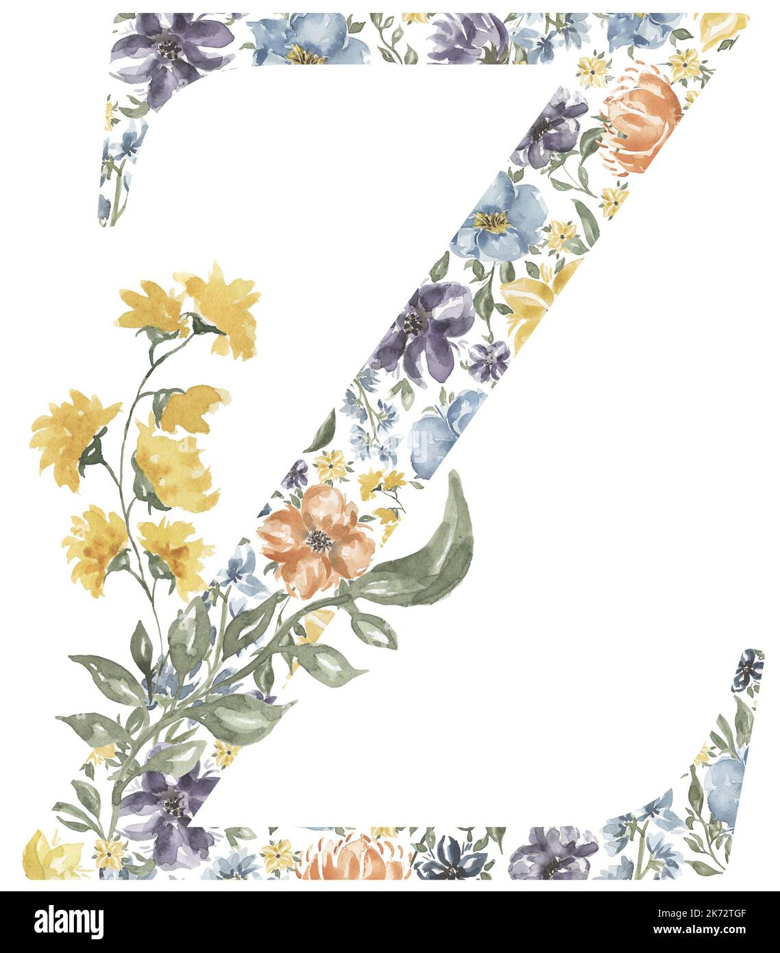Wildflowers Z letter clipart, Blossom Alphabet Design. Watercolor ...