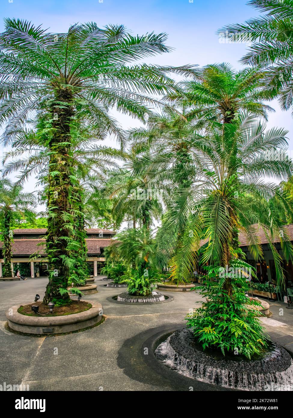 The Singapore Botanic Gardens is a 163-year-old tropical garden located ...