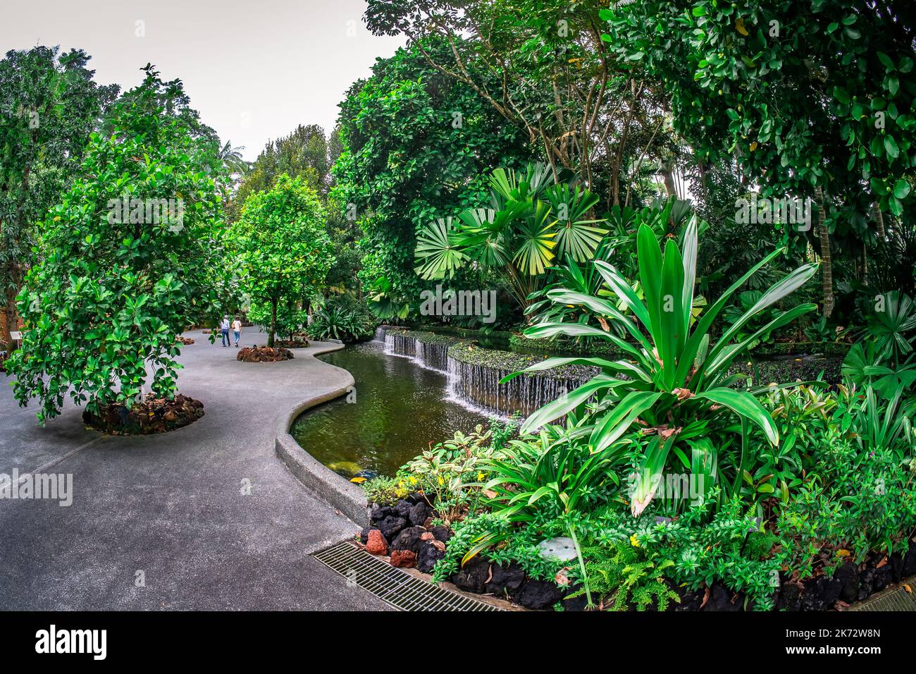 The Singapore Botanic Gardens is a 163-year-old tropical garden located ...