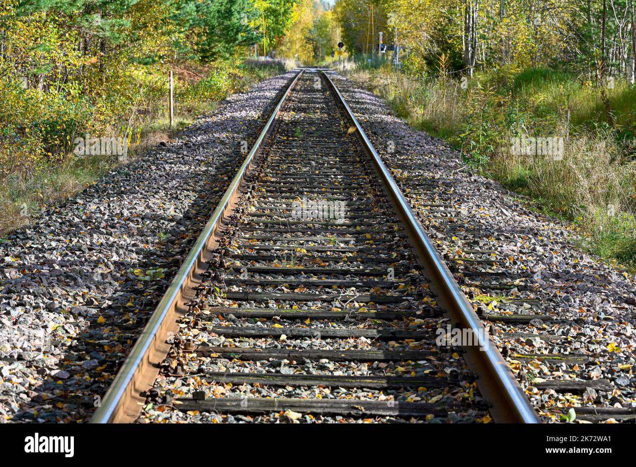rails and sleepers on old railway in october Stock Photo - Alamy