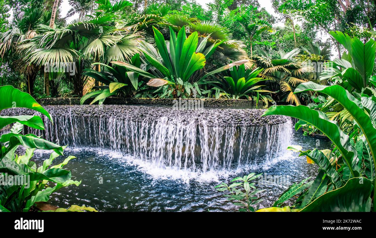 The Singapore Botanic Gardens is a 163-year-old tropical garden located ...