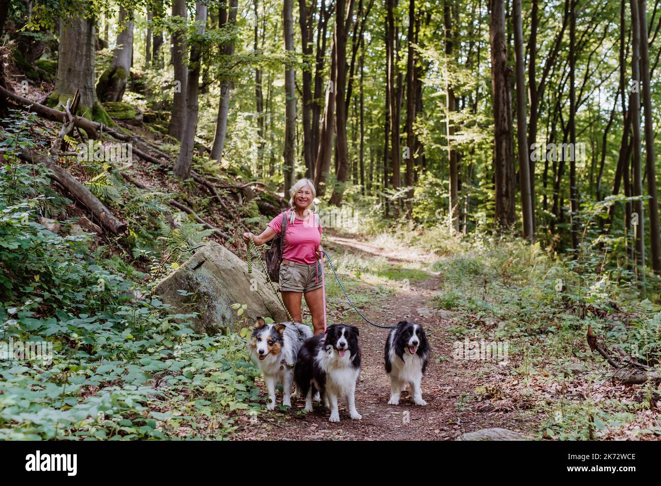 Senior woman walking with her three dogs in forest Stock Photo - Alamy