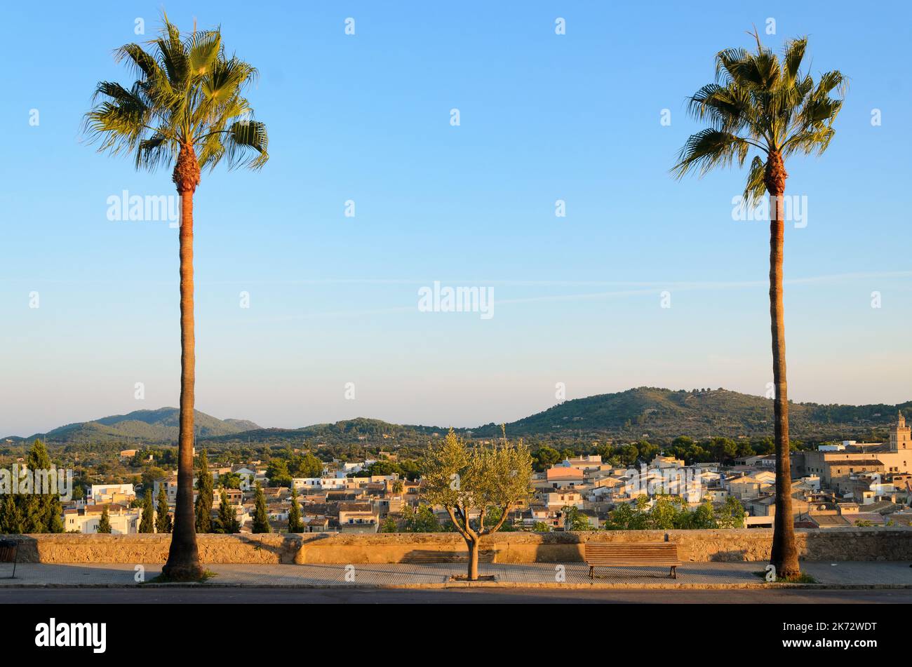 City view of Arta rooftops in Mallorca framed by palm trees at early ...