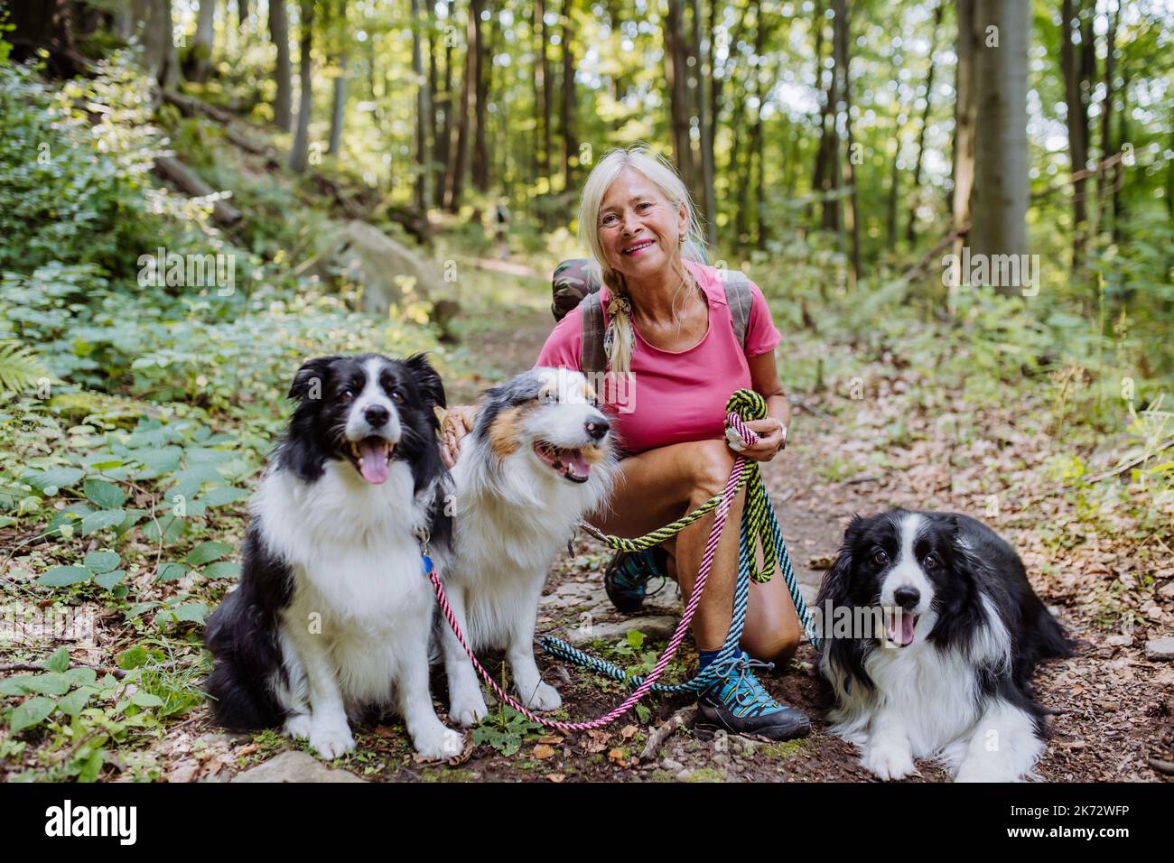 Senior woman walking with her three dogs in forest Stock Photo - Alamy