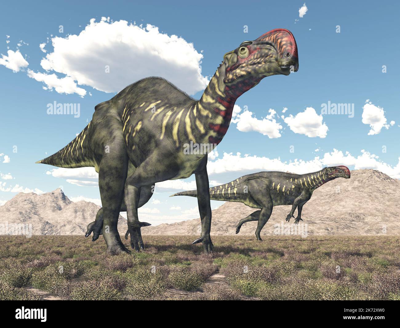 Dinosaur Altirhinus in a landscape Stock Photo - Alamy