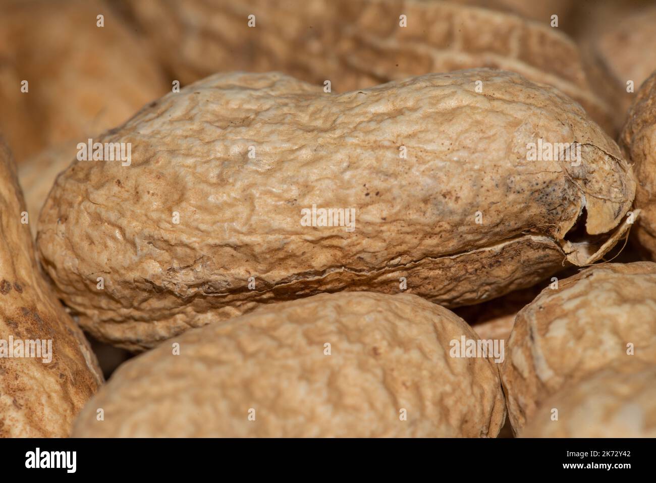 Netherlands. october 2022. Background of peanuts. High quality photo ...