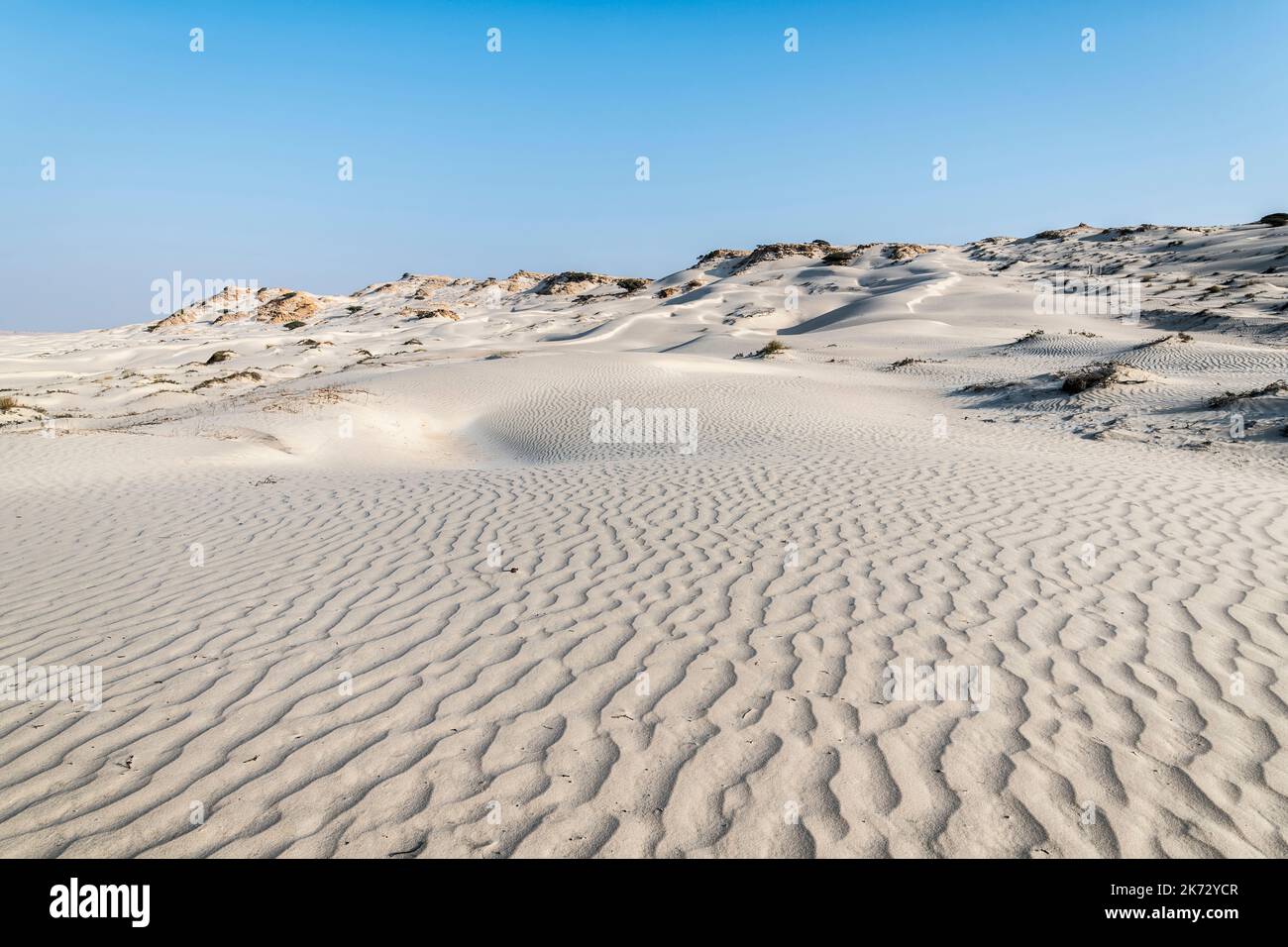 The breathtaking white sand beach of Sugar Dunes or Al Khaluf Dunes are ...