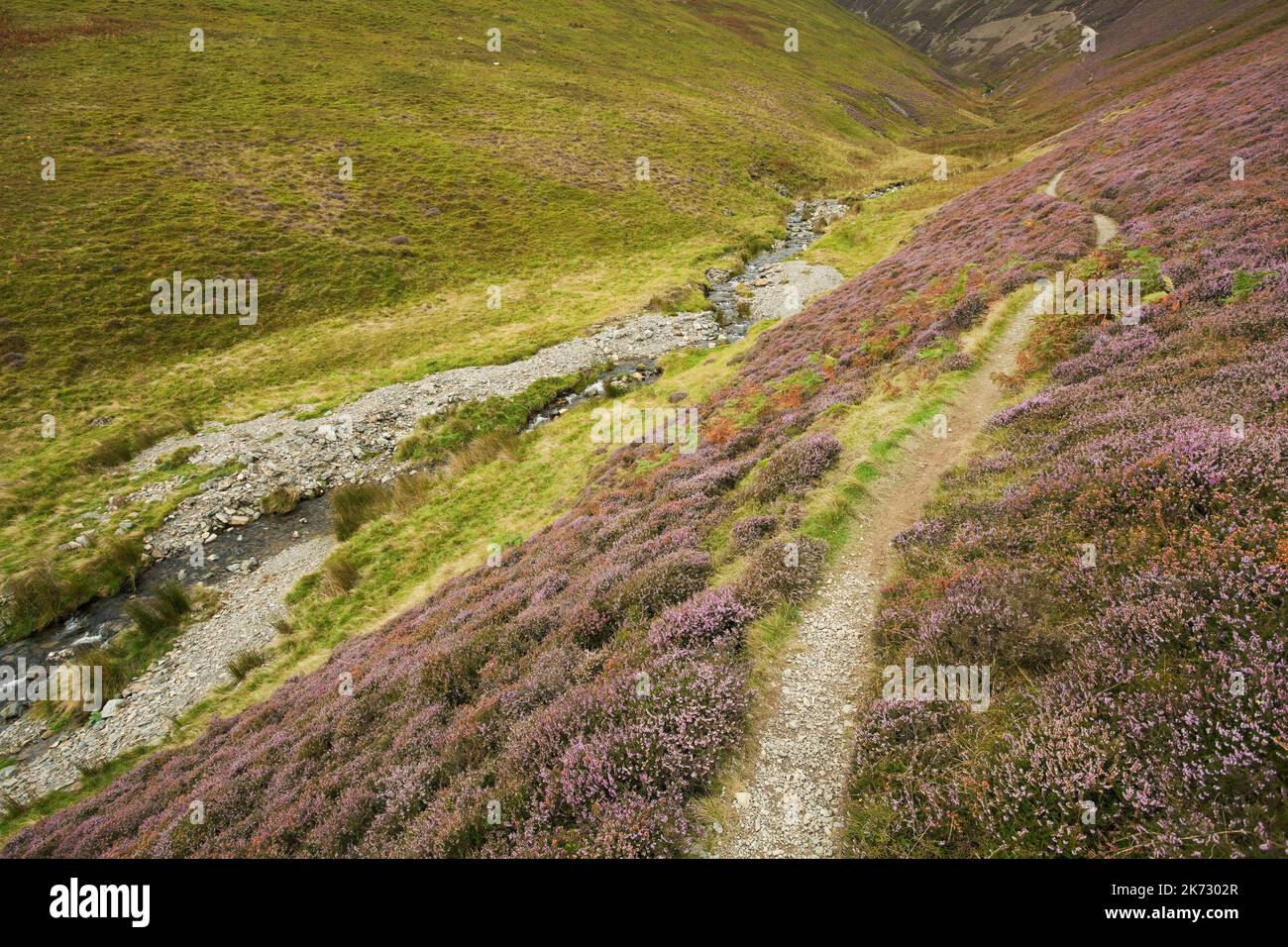 The path running down the Rigg Beck Valley, in the Lake District, UK ...