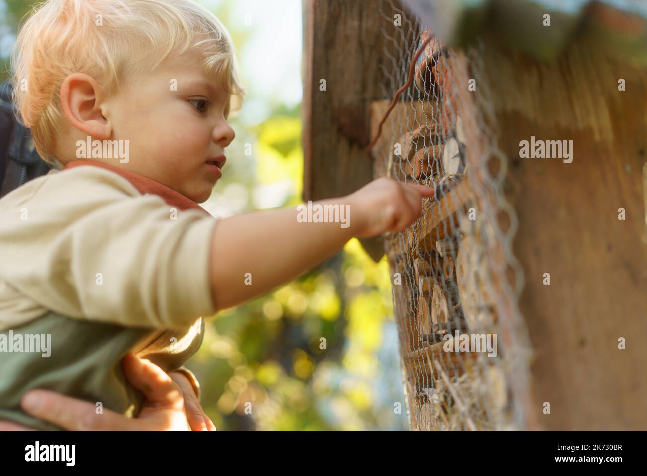 Insect hotel diy hi-res stock photography and images - Alamy