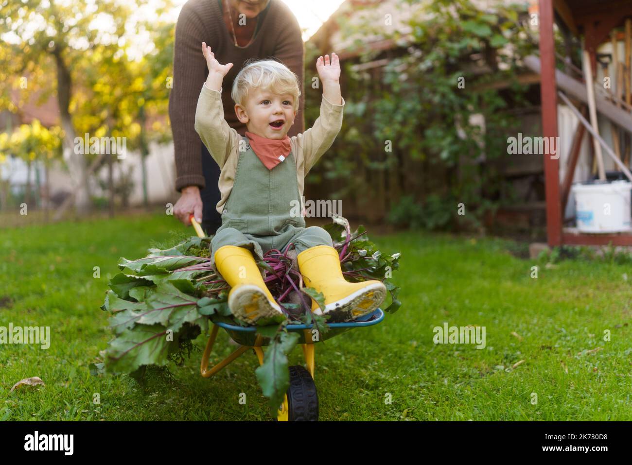 Little boy sitting at wheelbarrow with harvest vegetable, having fun ...