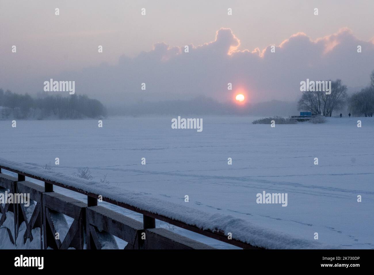 Snowy winter. Heavy snowfall in Moscow. Christmas trees in the snow ...