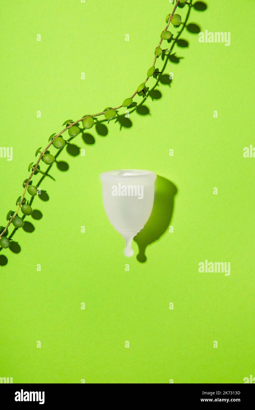 Menstrual cup and green leaves. Sustainable period, zero waste Stock ...