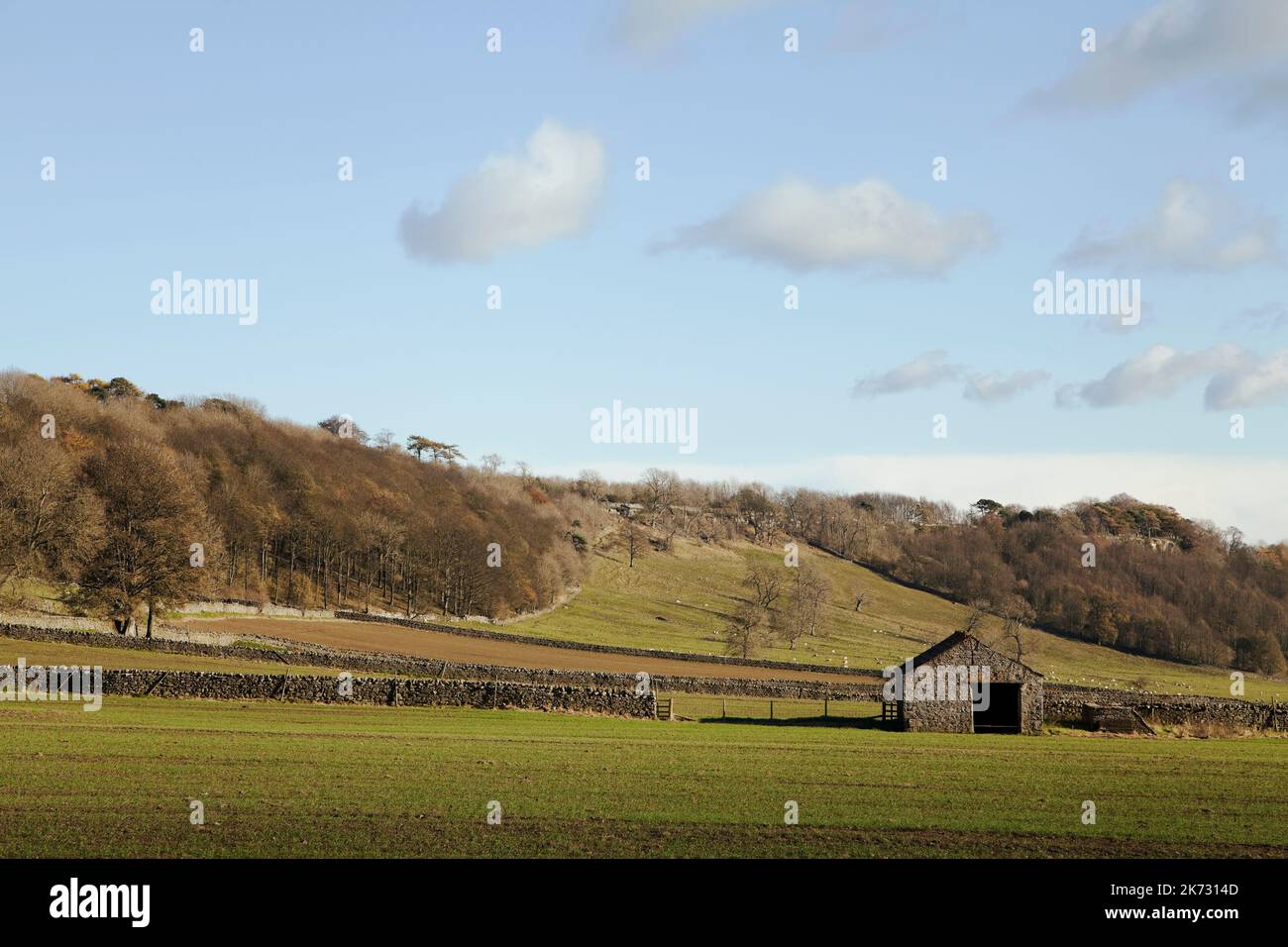 Leyburn Shawl near Leyburn in Wensleydale, Yorkshire Dales, UK Stock ...