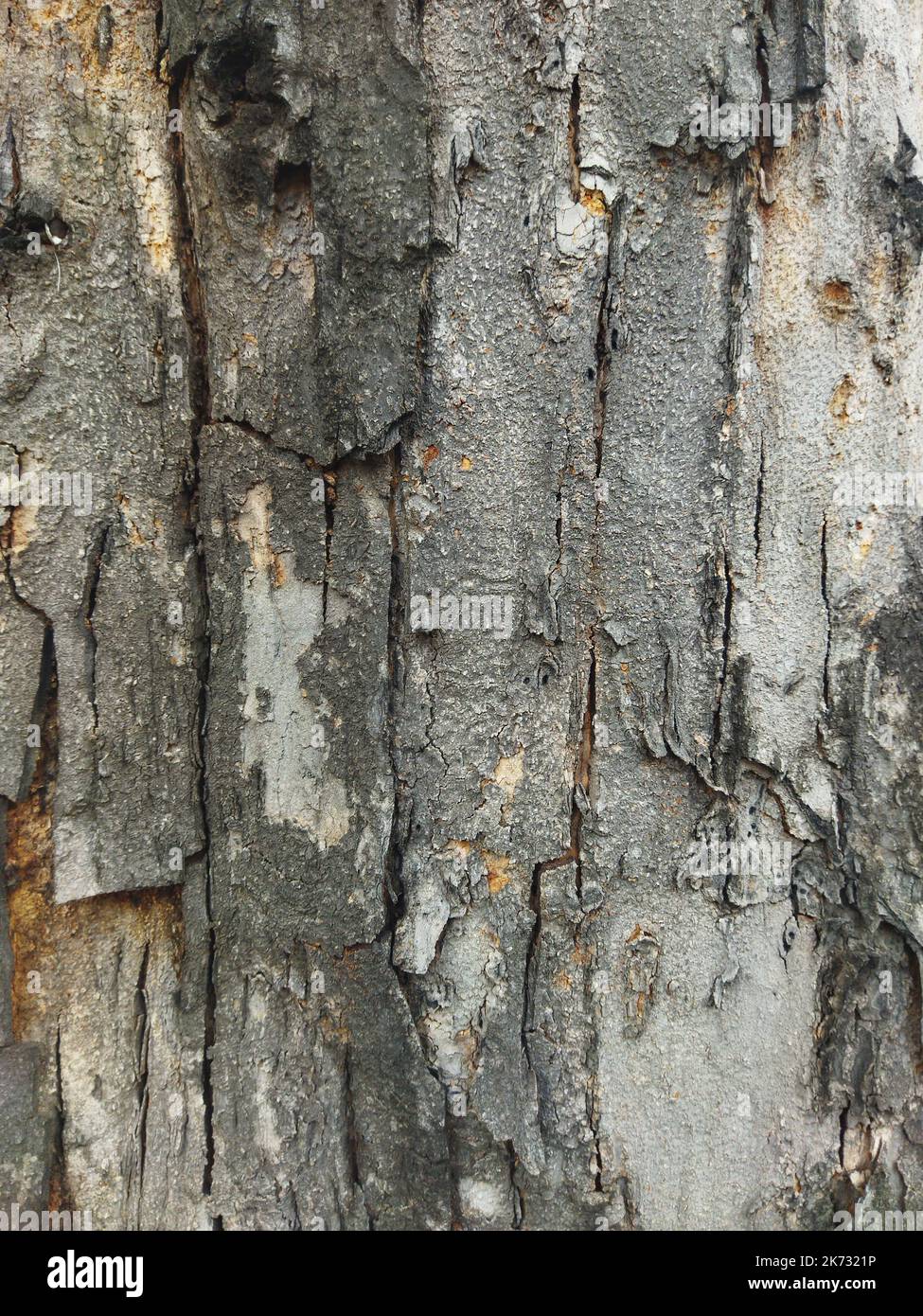 Details pattern hi-res stock photography and images - Alamy