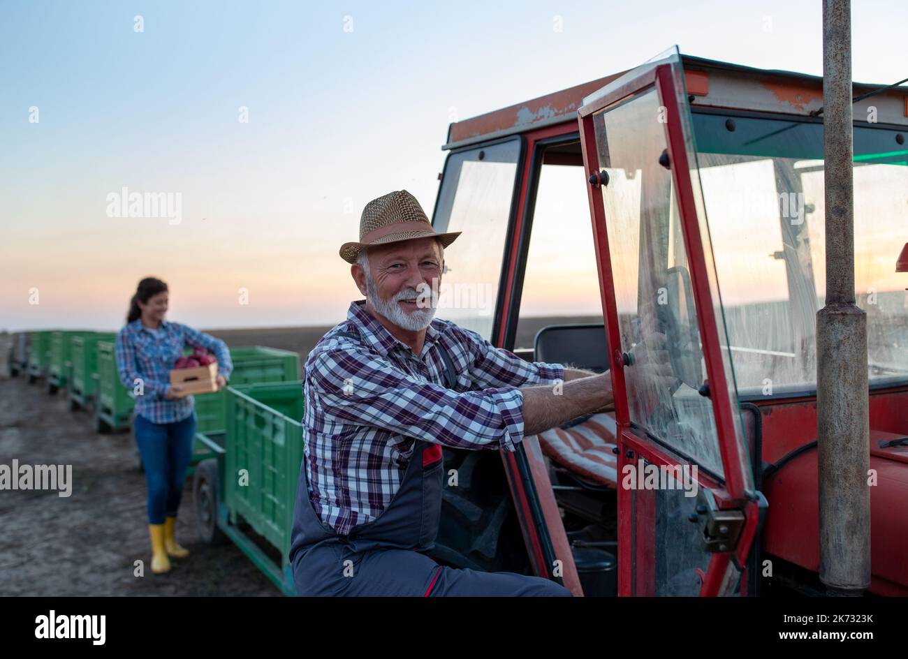 Excited senior farmer getting into tractor with trailers with big ...