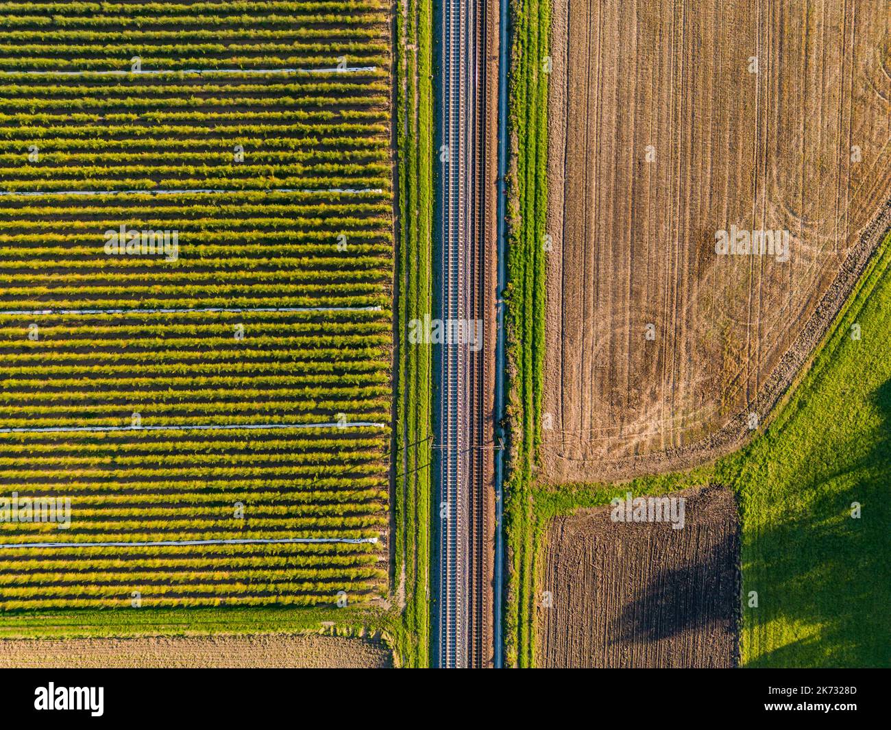 Train tracks between a strawberry field and a field directly from above ...