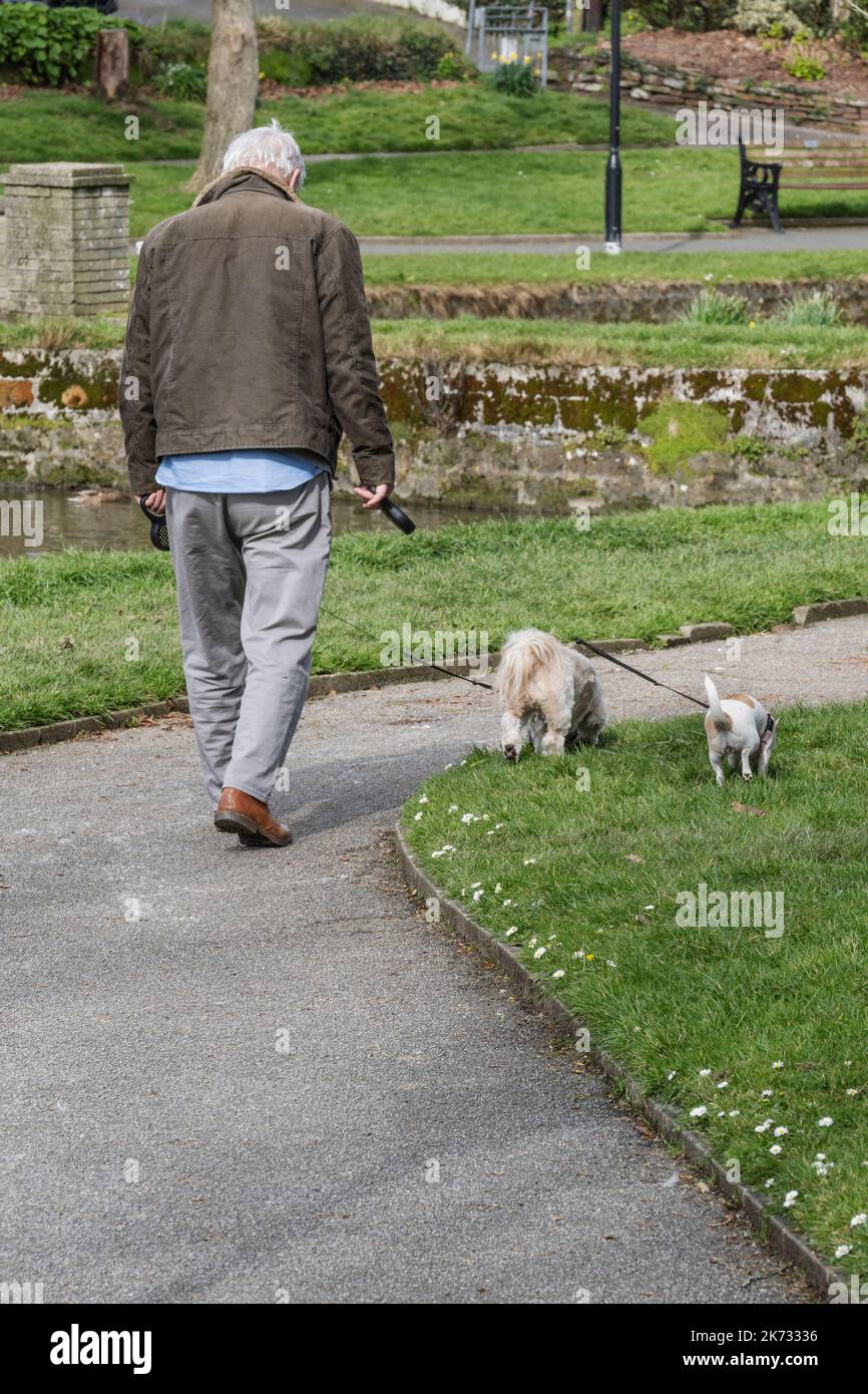 Man walking small dog hi-res stock photography and images - Alamy