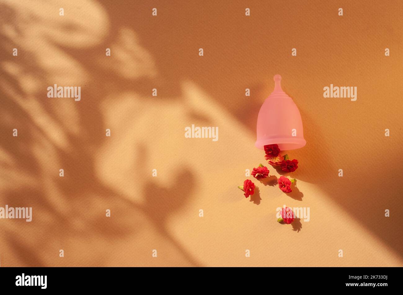 Menstrual cup period natural background top view flat lay negative ...