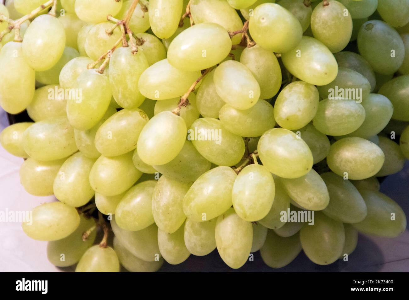 Tangerine forest hi-res stock photography and images - Alamy