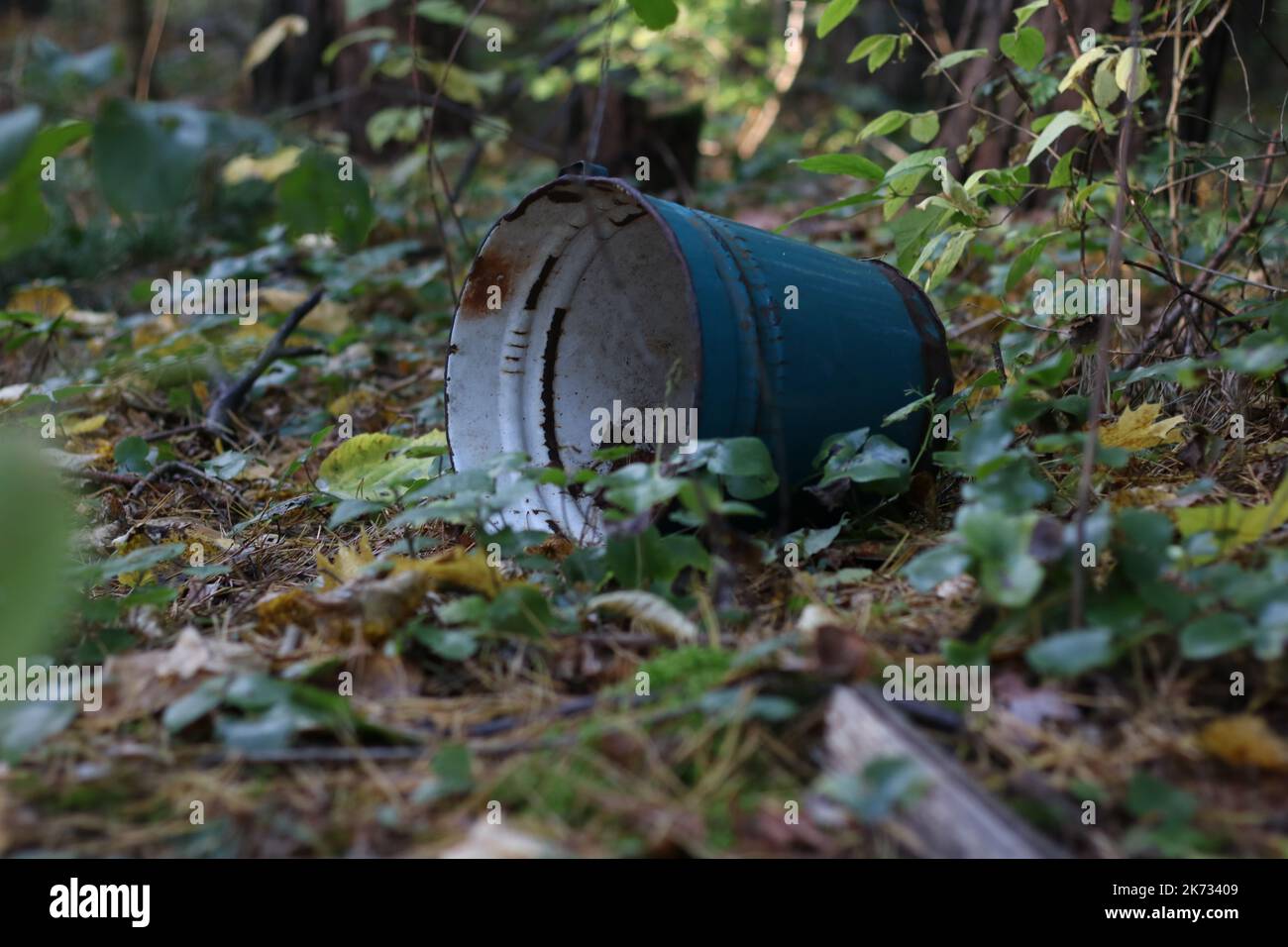 photo green old bucket lying sideways in the grass in the woods Stock ...