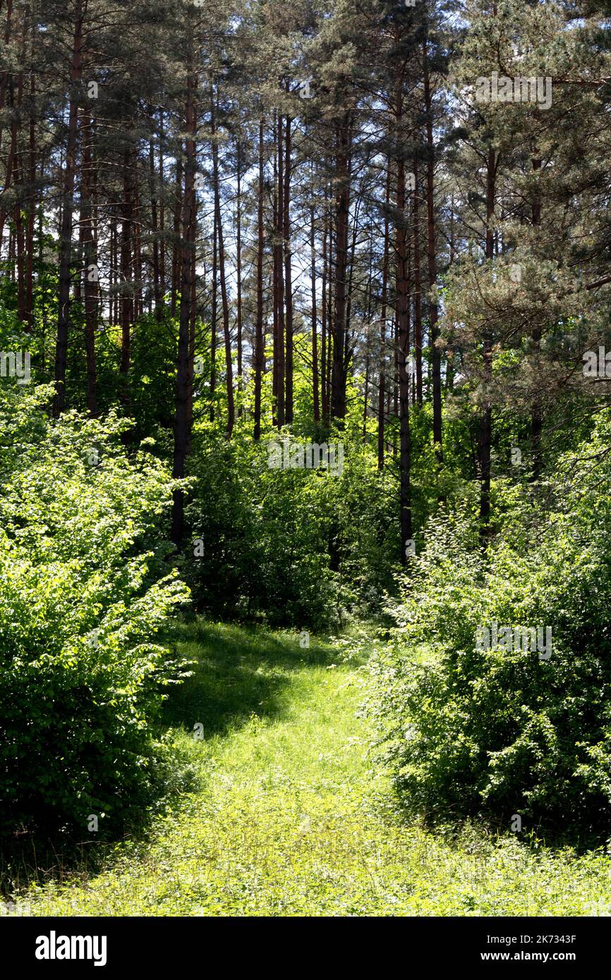 Lightblue color hi-res stock photography and images - Alamy