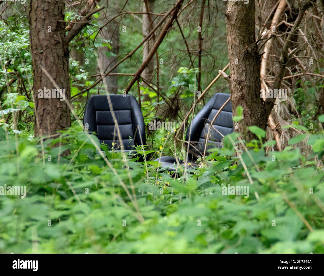 human waste dumped in the woods Stock Photo - Alamy
