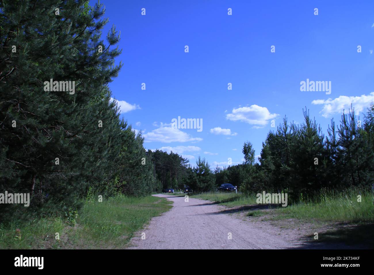 photo trail along the forest in clear weather Stock Photo - Alamy