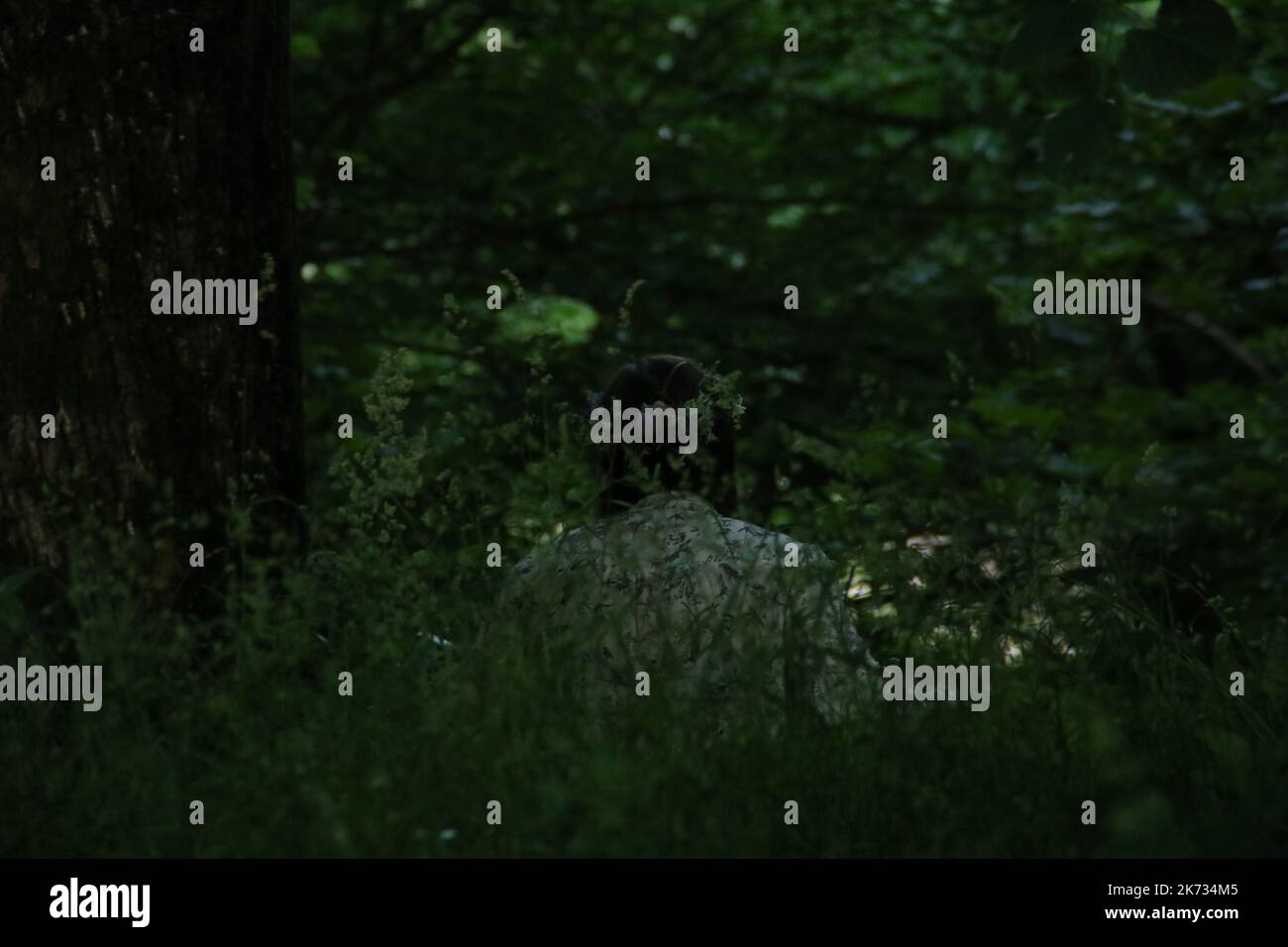 photo of a girl sitting with her back to the grass in a dark key Stock ...