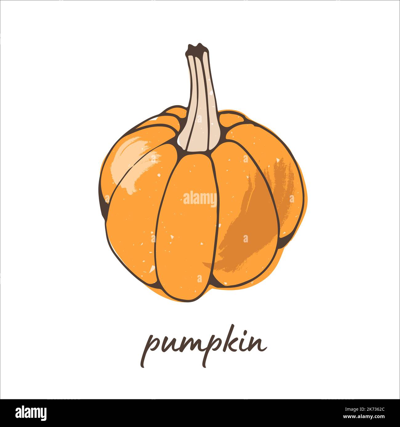 Pumpkin vector illustration, hand drawn isolated on white background ...