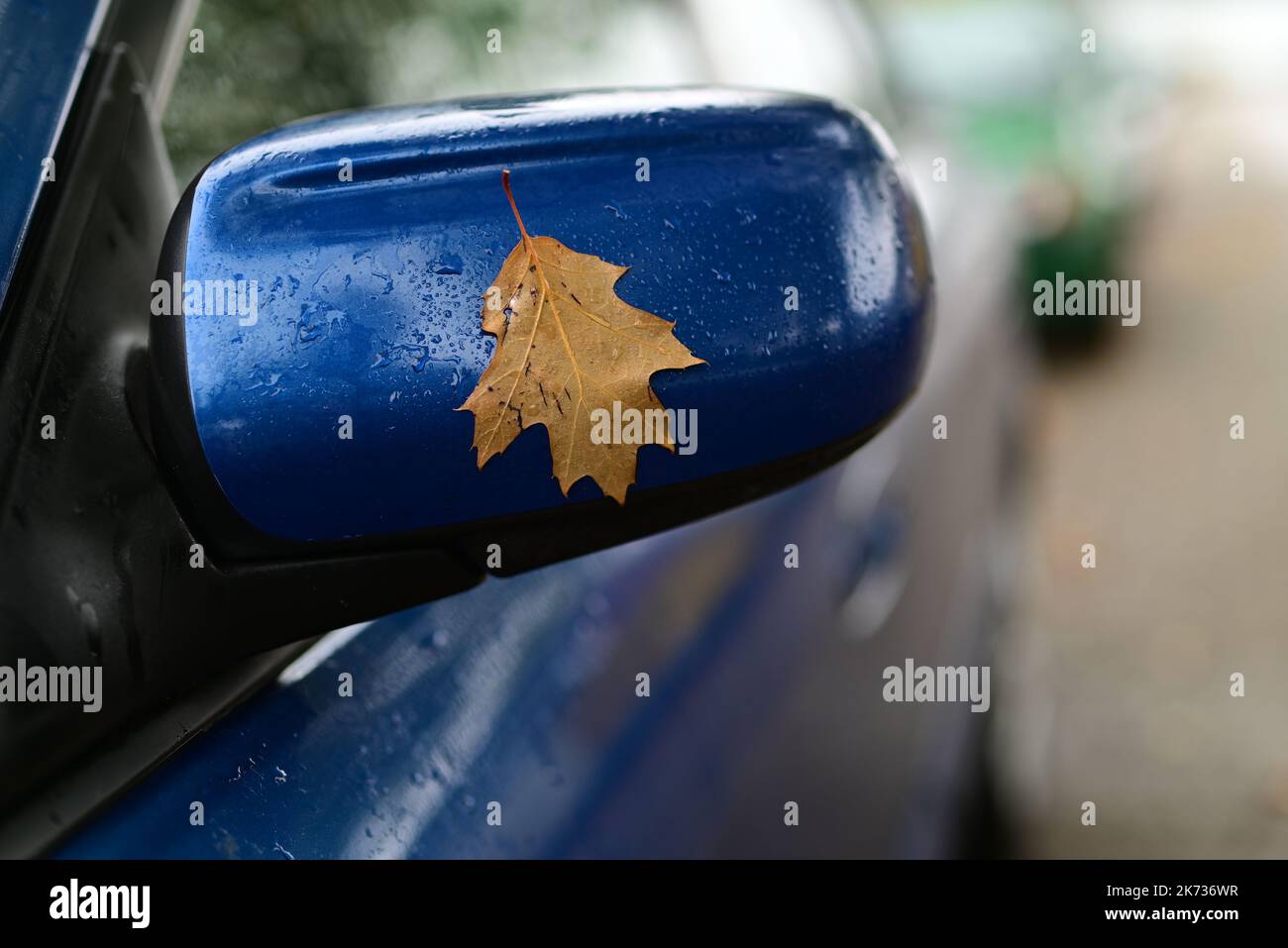 Mirror leaf hi-res stock photography and images - Alamy