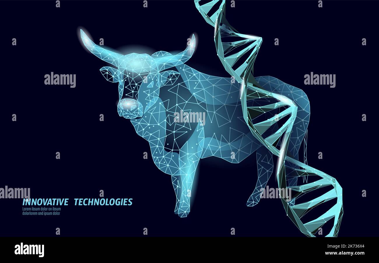 GMO bull gene modified meat. Science chemistry biology genetics ...