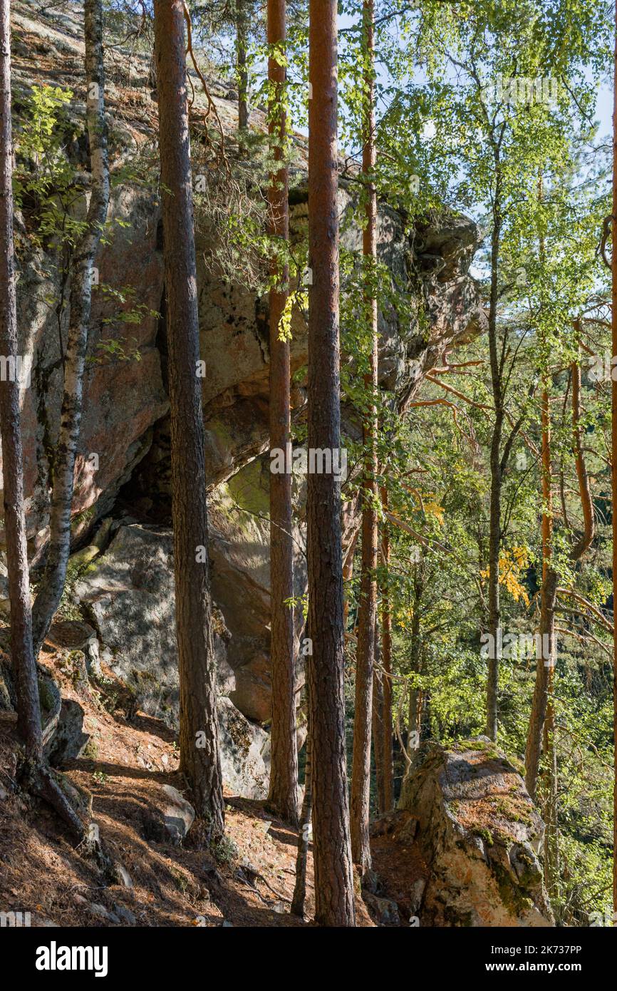 Granite rock formation behind the tree trunks in a Finnish forest Stock ...