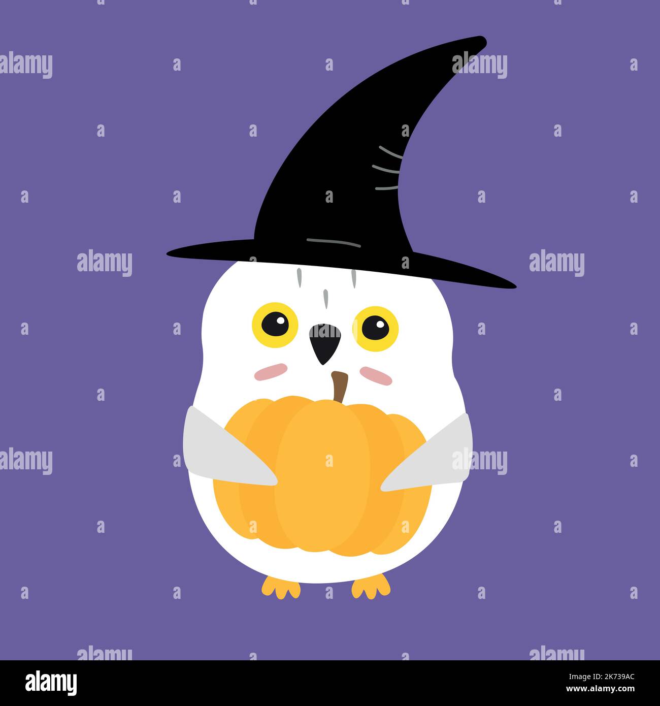 Vector witch owl with pumpkin and hat Stock Vector Image & Art - Alamy