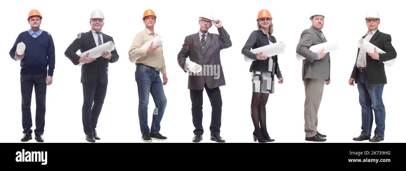 photo collage of qualified architect isolated on white Stock Photo - Alamy