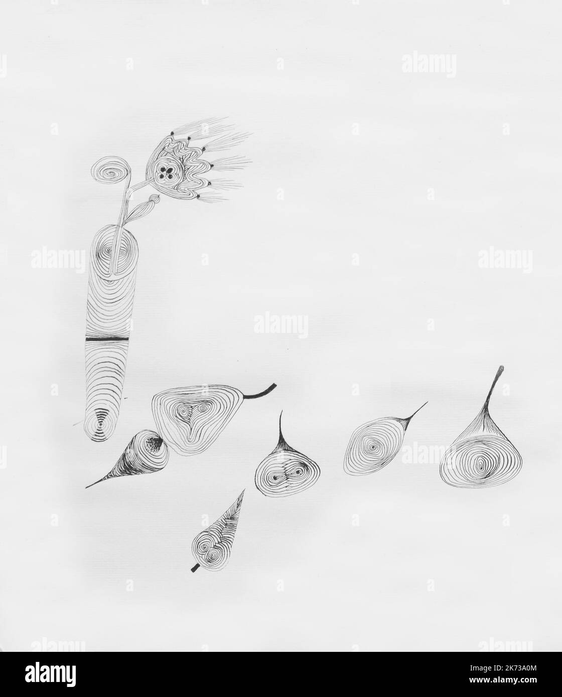 Paul klee painting flower Black and White Stock Photos & Images - Alamy