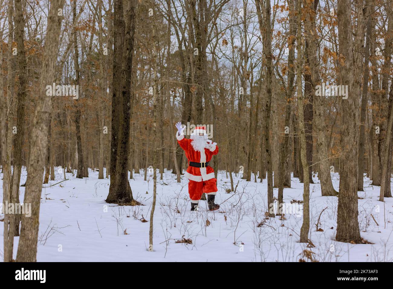 As Santa Claus walks in forest carrying red bags filled with gifts for ...