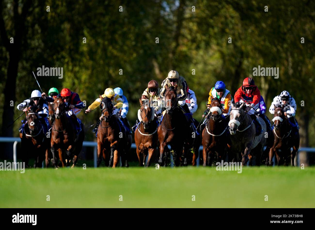 Goat memorial hi-res stock photography and images - Alamy