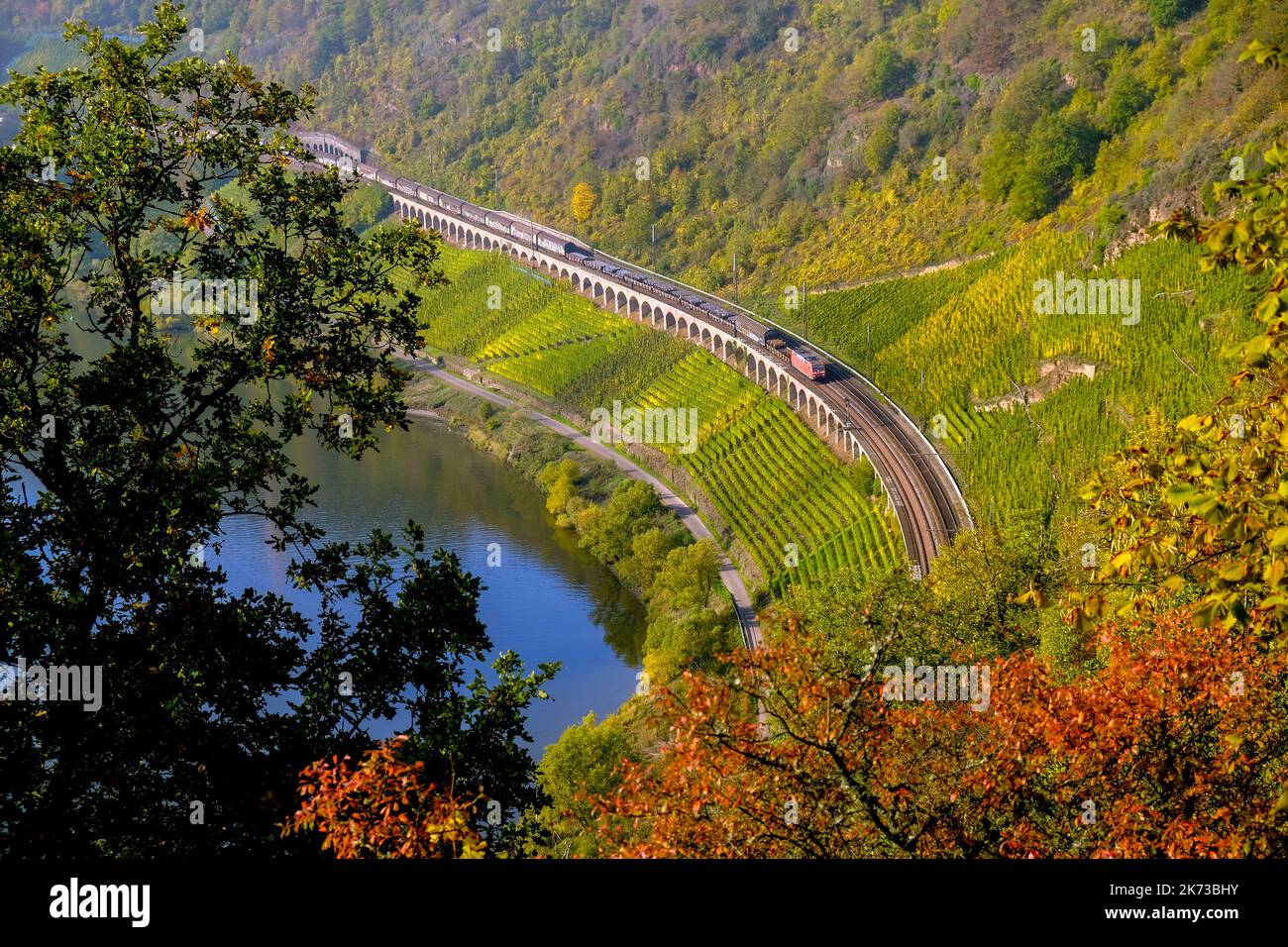 DEU, Deutschland, Germany, Rheinland-Pfalz, Puenderich, 11.10.2022: ein ...