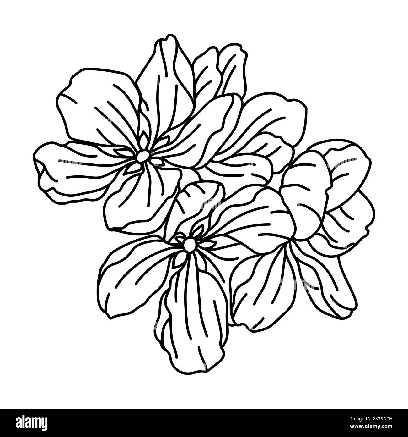 Illustration of apple tree flower. Beautiful decorative plant Stock ...