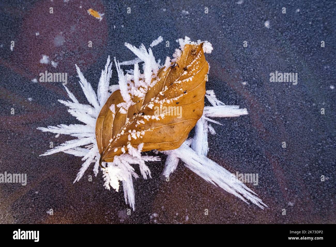 Frost spikes hi-res stock photography and images - Alamy