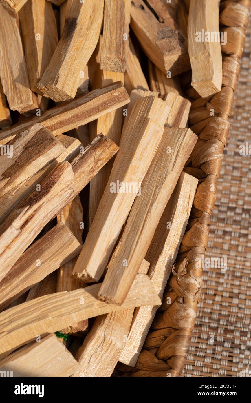 Incense tree bursera graveolens hi-res stock photography and images - Alamy