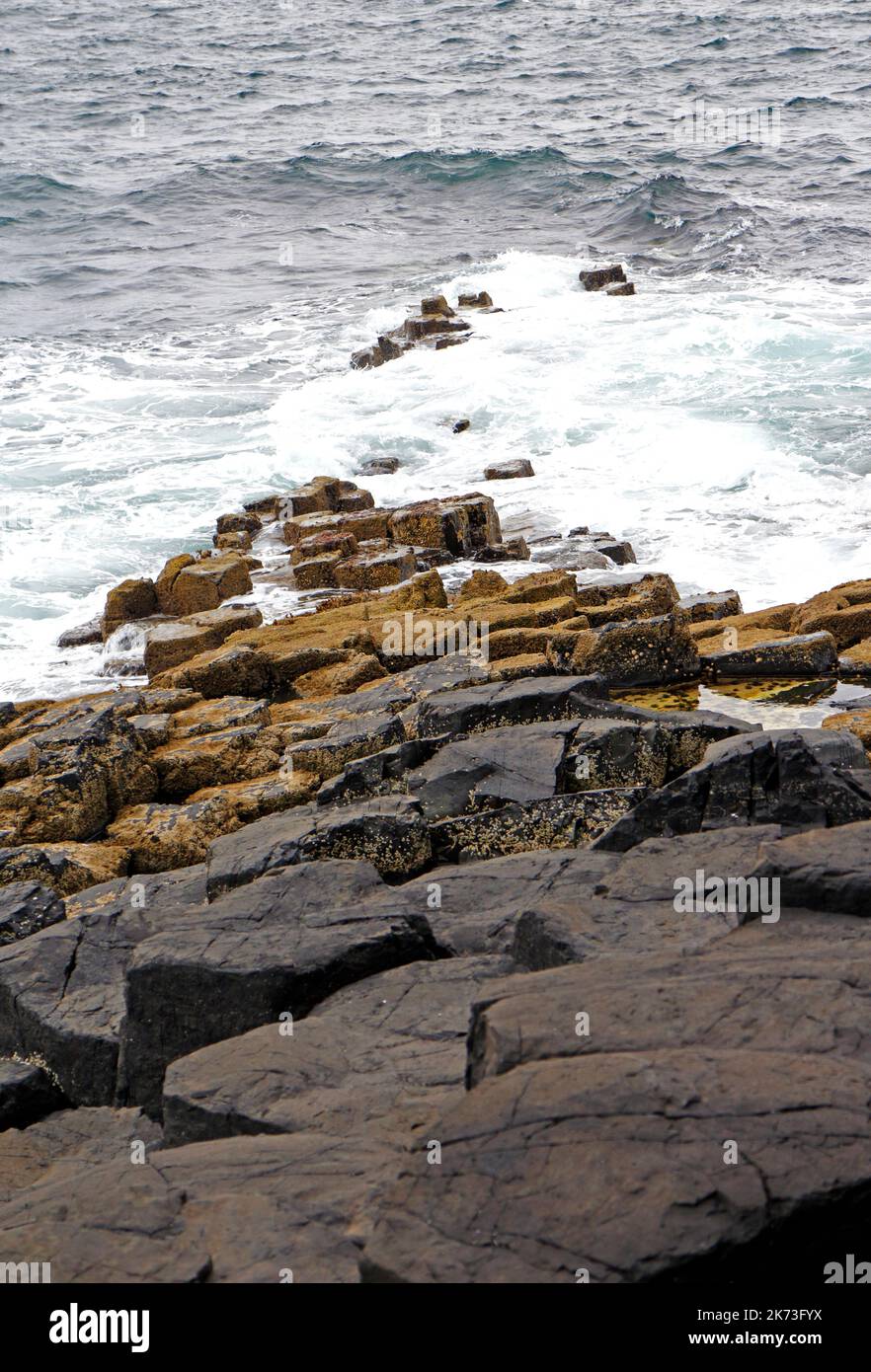 A view of fractured and wave-eroded Paleocene basalt columns submerging ...