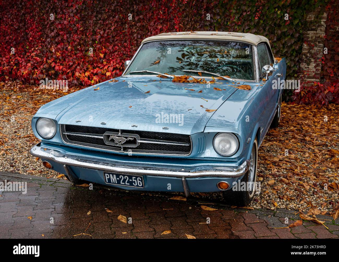 Brummen, Province Gelderland, The Netherlands, 15.10.2022, Old timer ...