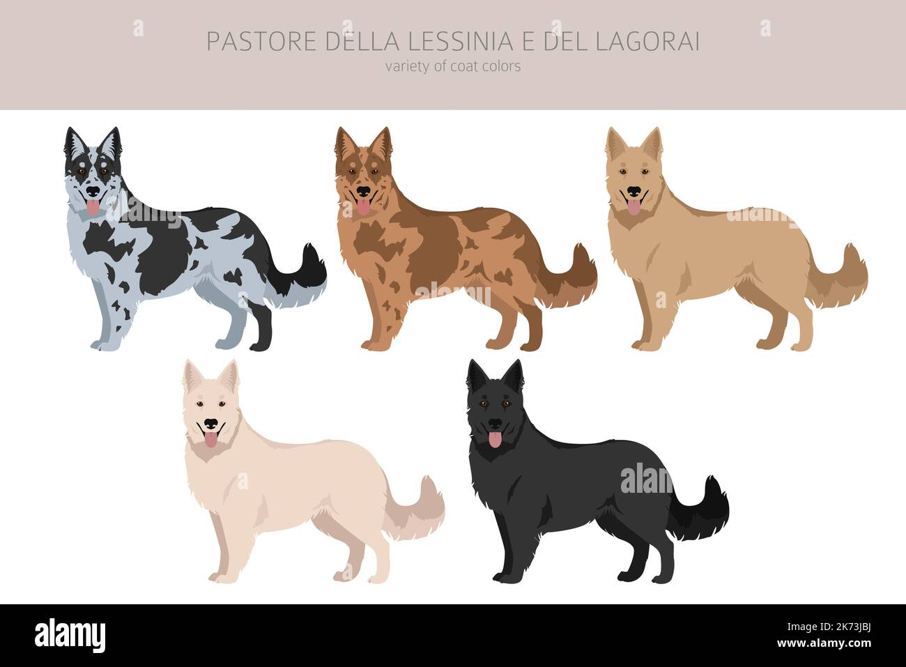 Pastore della Lessinia e del Lagorai clipart. All coat colors set. All ...