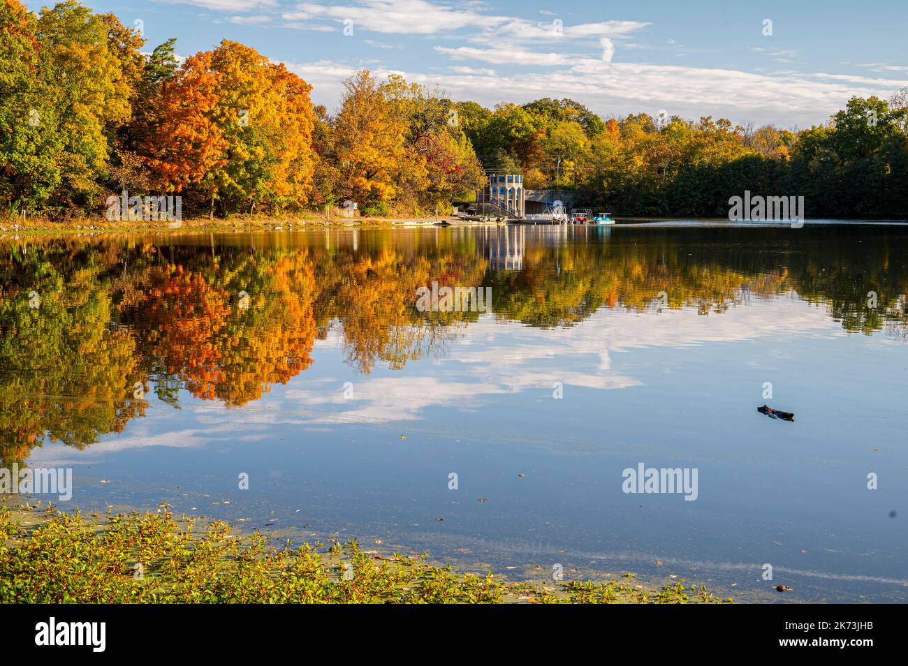Gorgeous Autumn leaves reflected in the calm lake of a county park in ...