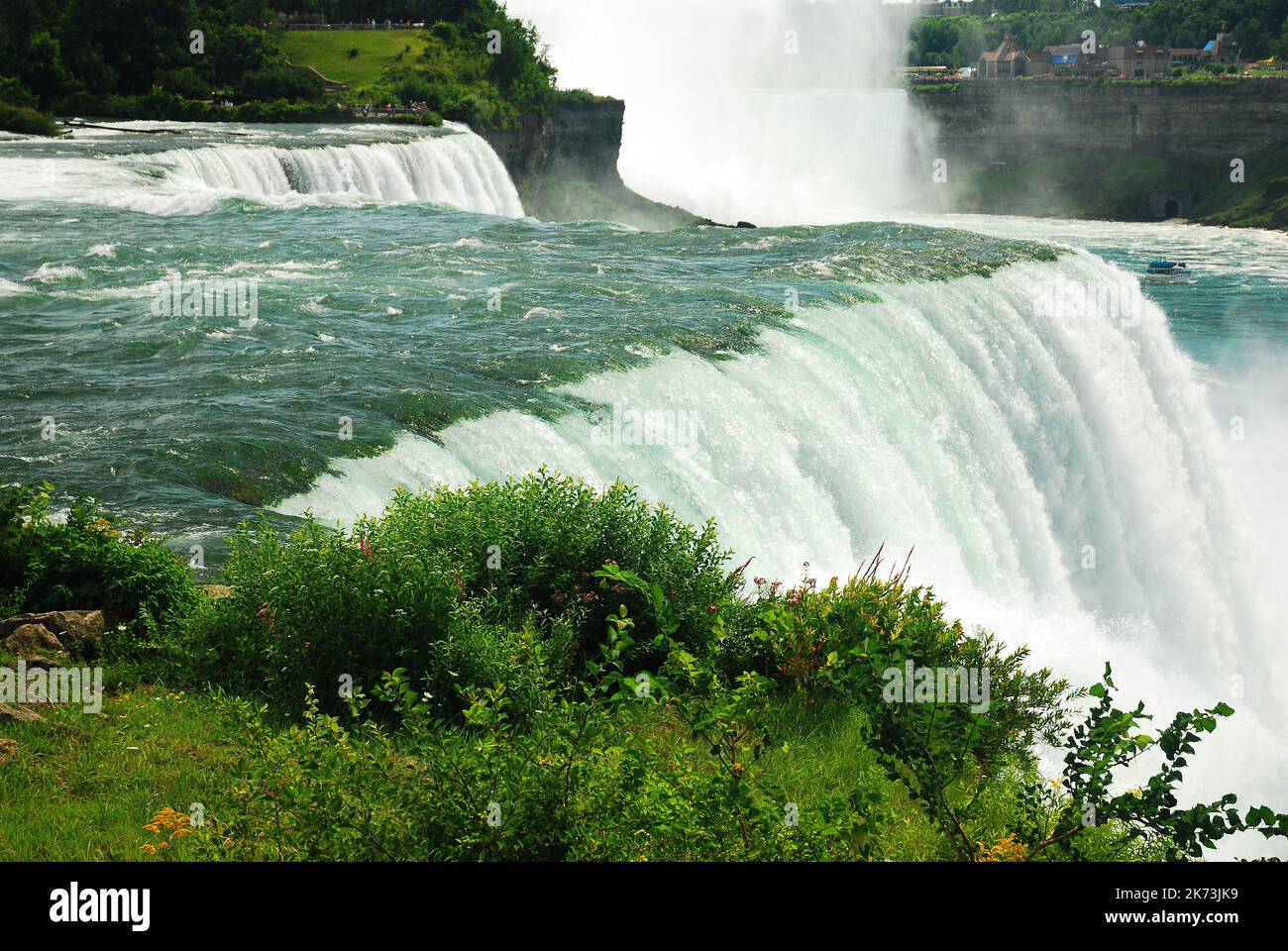 Wildflowers grow at the edge of the American Falls, growling thanks to ...