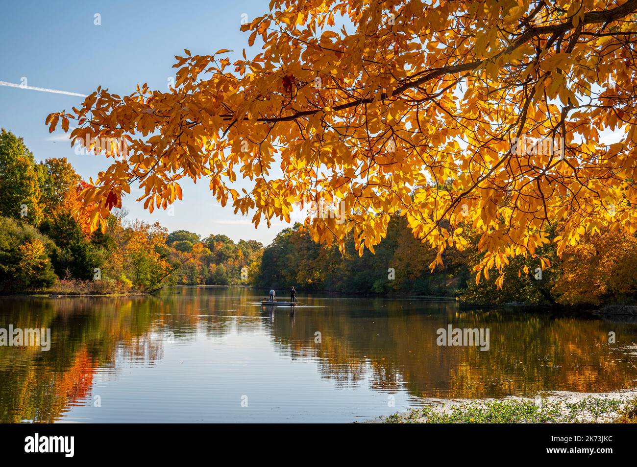 Gorgeous Autumn leaves reflected in the calm lake of a county park in ...