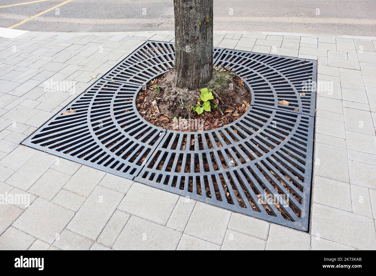 Tree trunk in a holder on the street Stock Photo - Alamy