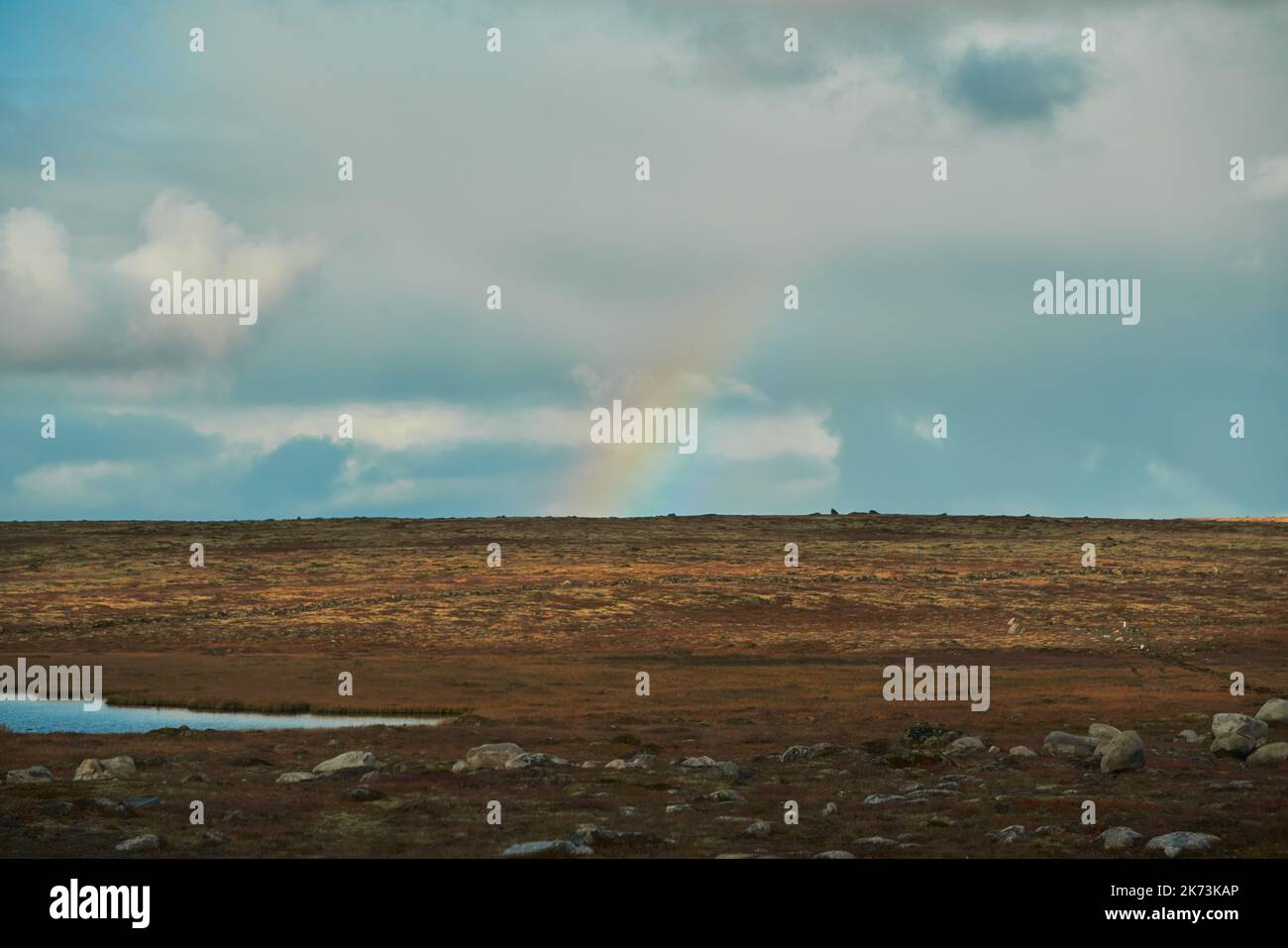 Tundra landscapes above Arctic circle in autumn season. Beautiful ...